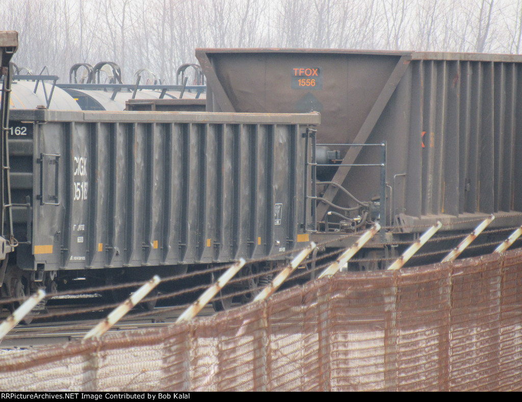 CIGX 805162 hooks up with TFOX 1556 with a great bang sound